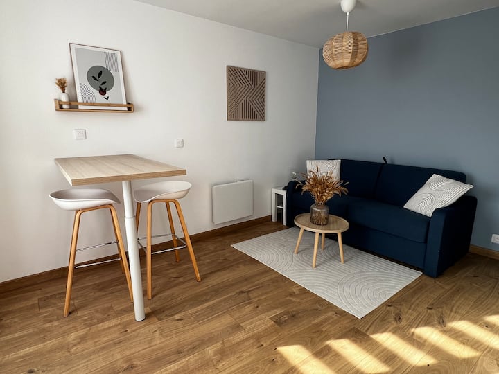 Studio Cosy Au Coeur Du Puy De Dôme - Lezoux