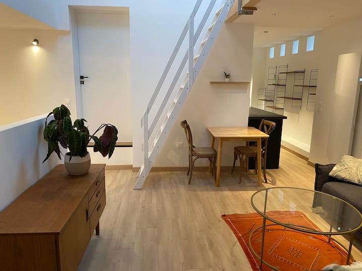 Studio Indépendant Dans Un Logement - Saint-Jorioz