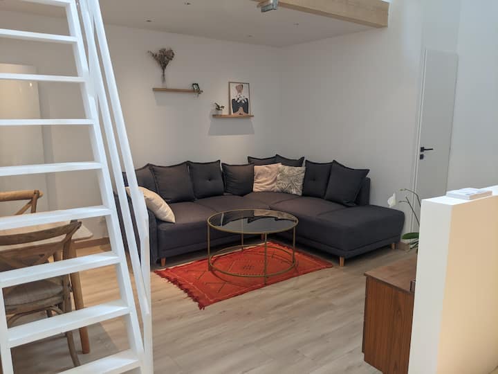 Studio Indépendant Dans Un Logement - Saint-Jorioz