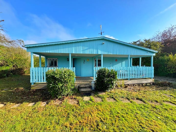 Blaues Haus - Sarrebourg