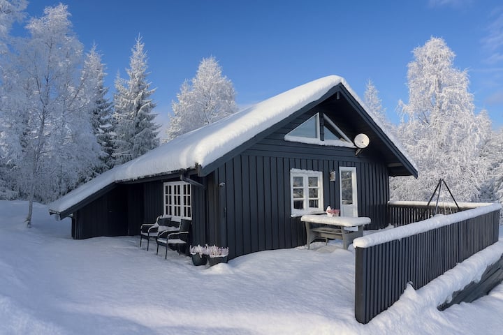 Superkoselig Liten Familiehytte I Bjørgan - Nær E6 - Norway