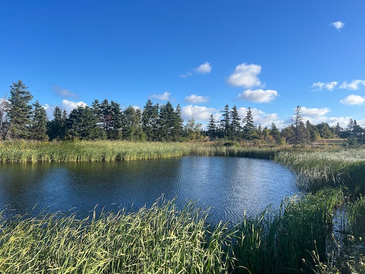 Scott & Amber’s Luxury Camper Overlooking The Pond - Cavendish