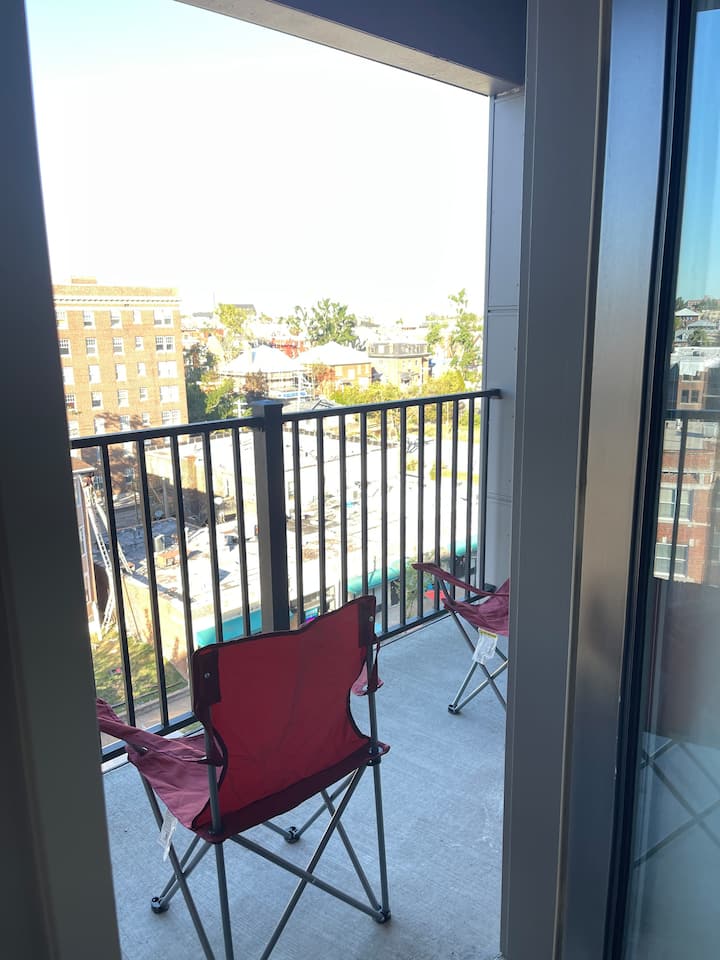 Modern 1br W/balcony Near Forest Park, Washu &Slu - Saint-Louis, MO