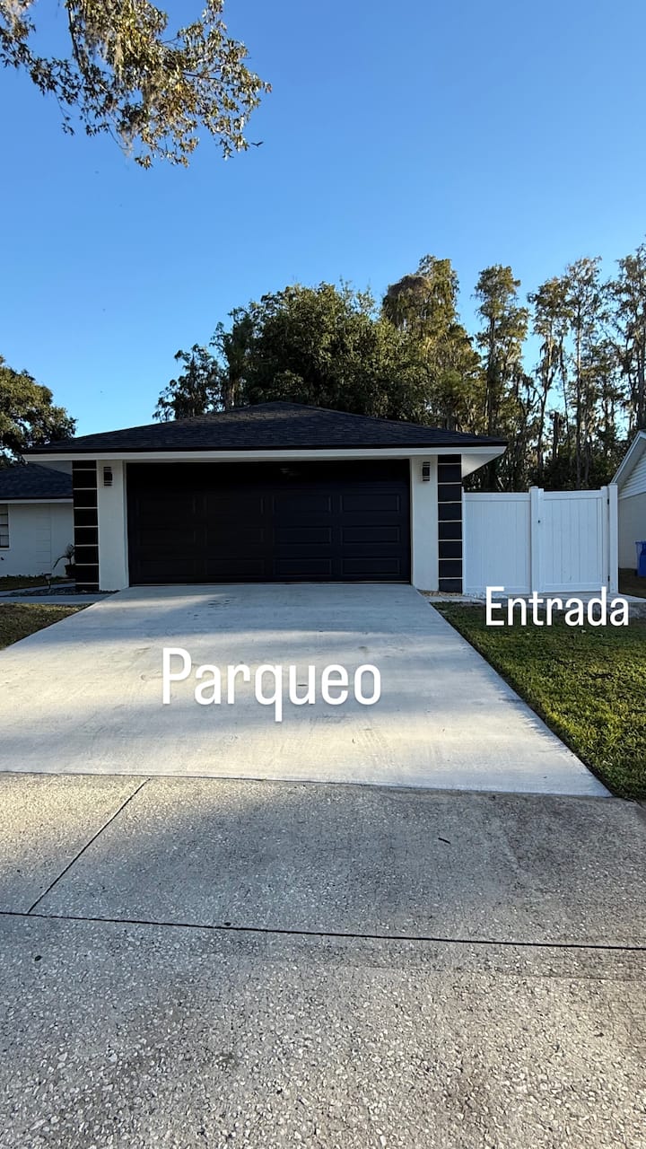 House In Autumn Leaves - Tampa, FL