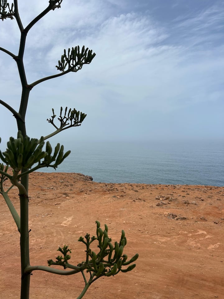 Rc شقة مثالية لعطلتك بجانب البحر - Mirleft