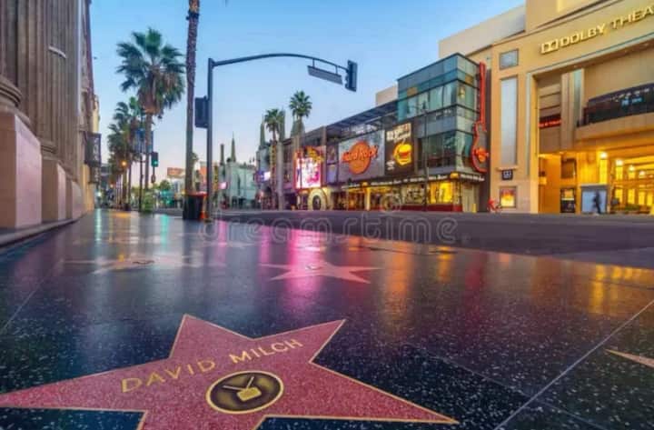 Walk Of Fame Apt W/gym, Parking, Pool, View - Los Angeles, CA