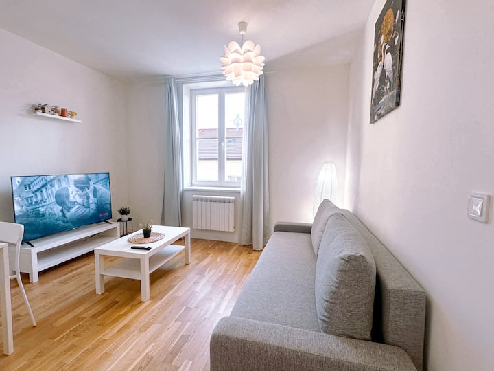 Central Apartment By National Museum&wenceslas Sq - Praga