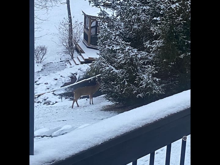 Winter Retreat - Howell, MI