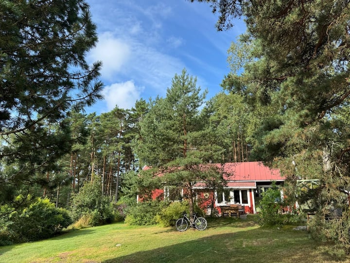 Art Of Living Off-grid In Bluezone - Turku