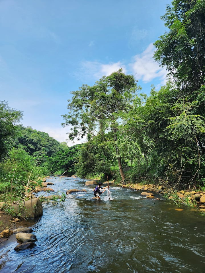Hive Mind 
(Sethurathna) - Palakkad