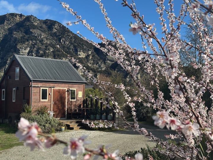 Private Cottage
“Tree House” - Wanaka