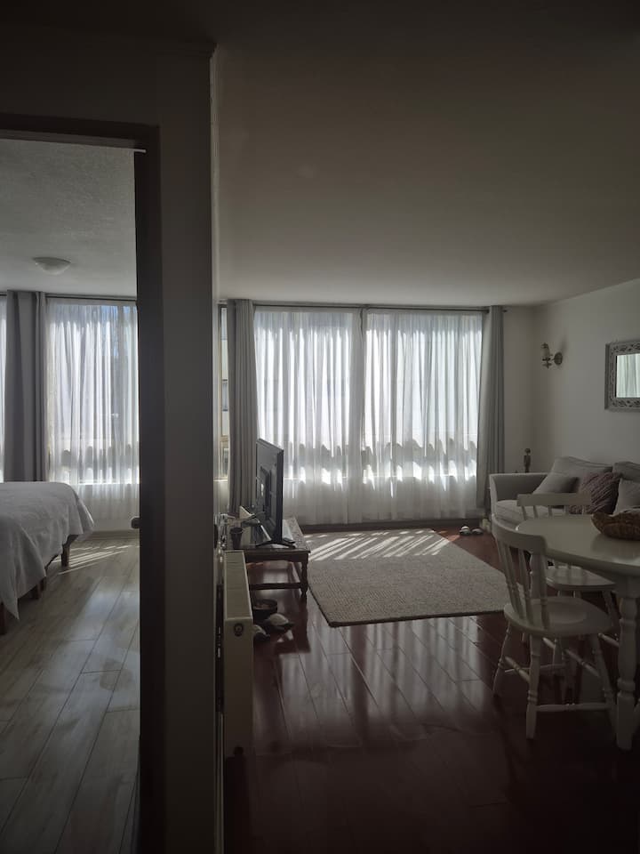 Cómodo, Con Aire Acondicionado Y Cerca Del Casino. - Viña del Mar