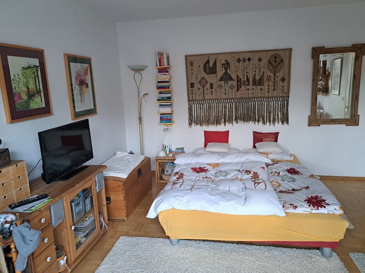 Ruhiges & Sonniges Apartment In Zentraler Lage - Munich