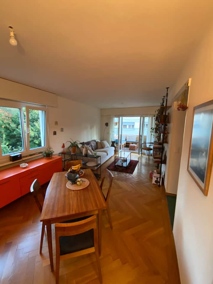 Un Appartement Cosy Dans Un Quartier Calme. - Lausanne