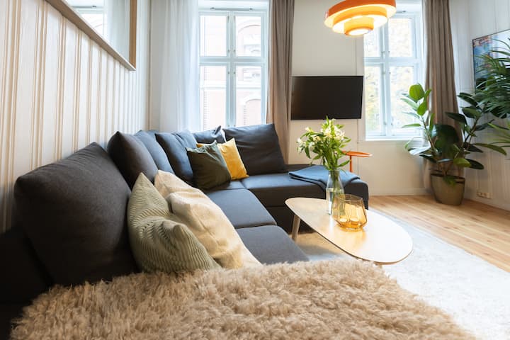 2br Spacious Flat | Centrum + Grünerløkka - Oslo