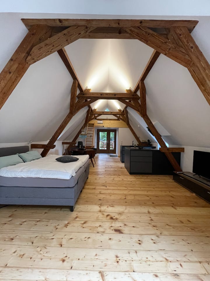 Schwarzwald Loft Im Grünen - Freudenstadt