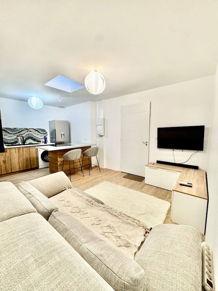 Maison Design Et Neuve Avec Un éQuipement Complet. - France