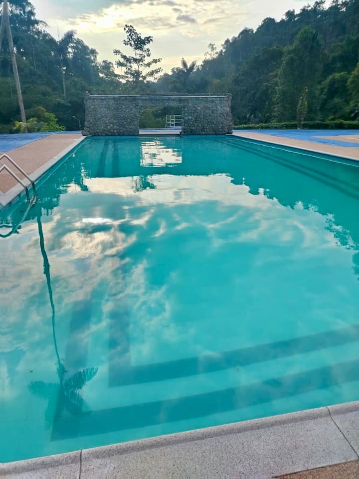 Para Desconectar Y Vivir Lo Mejor De La Naturaleza - Pedro Vicente Maldonado