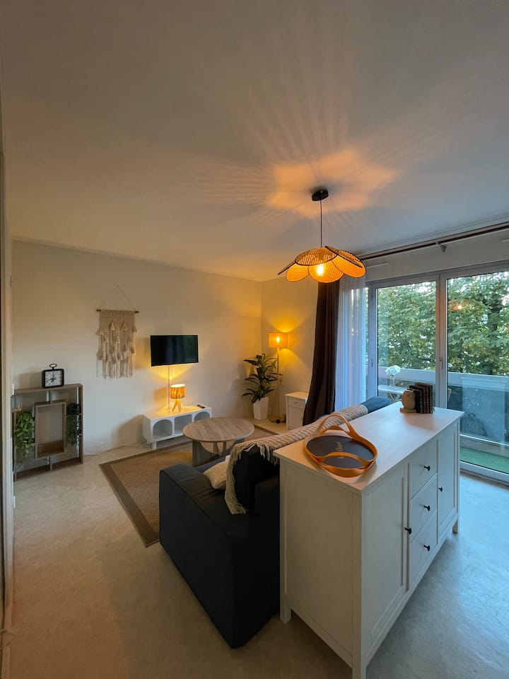Mon Petit Nid Cosy – Briand Hyper Centre - Ardennes