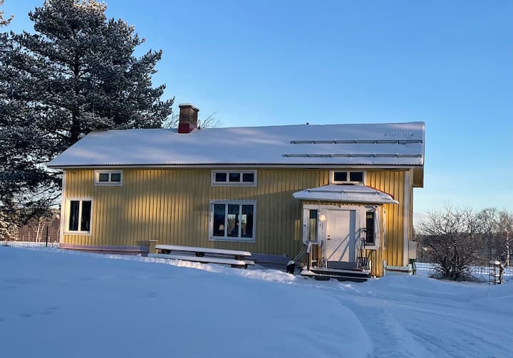 Bo På Bondgård Med Kossor Som Granne - Boden