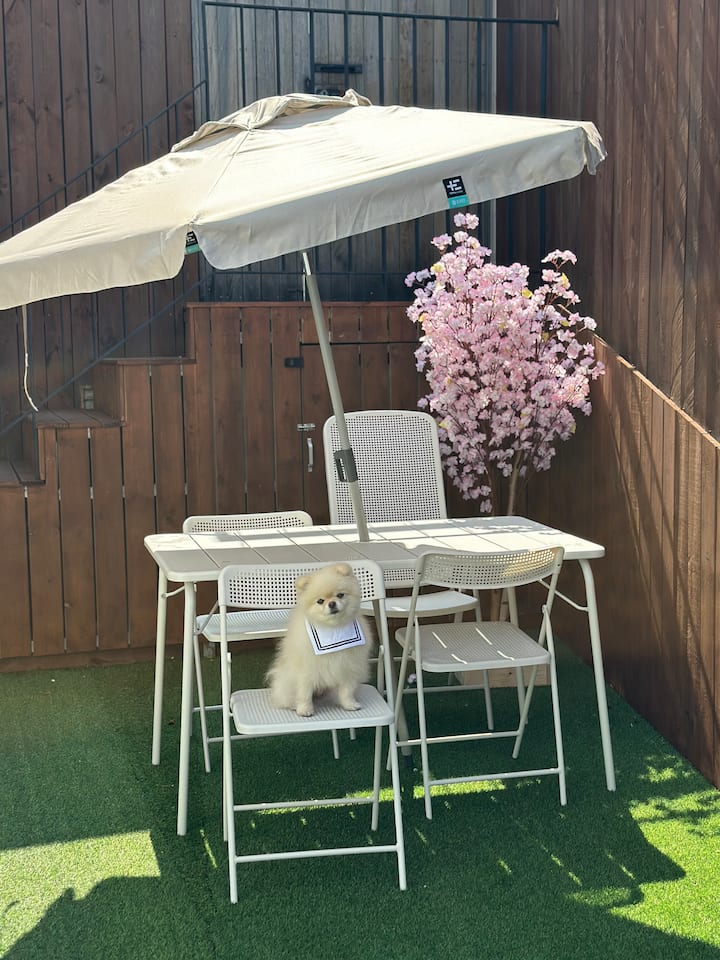 영도 플레이 가비 - Busan