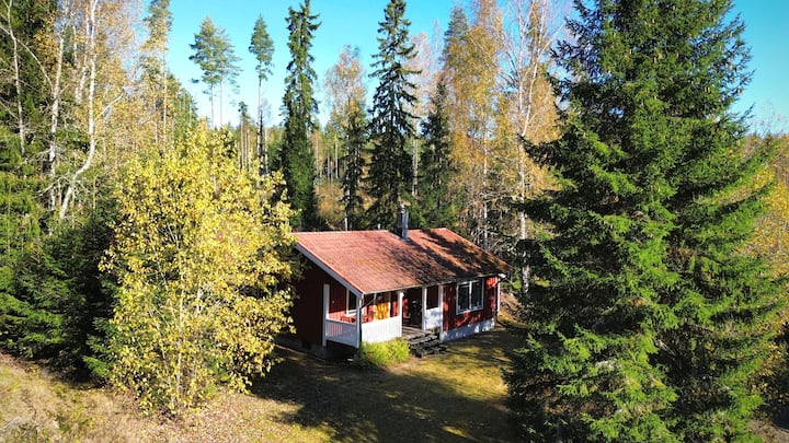 Bråss, Het Boshuisje Vlakbij Sunne Mét Sauna - Sunne
