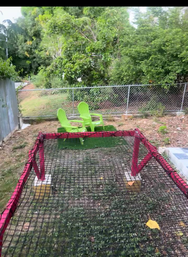 Alfira De Plata Airbnbus | Clarifying Experience - San Germán