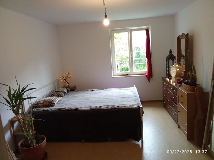 Kiadò Szoba Kutyabaràt Lakàsban - Freiburg im Breisgau