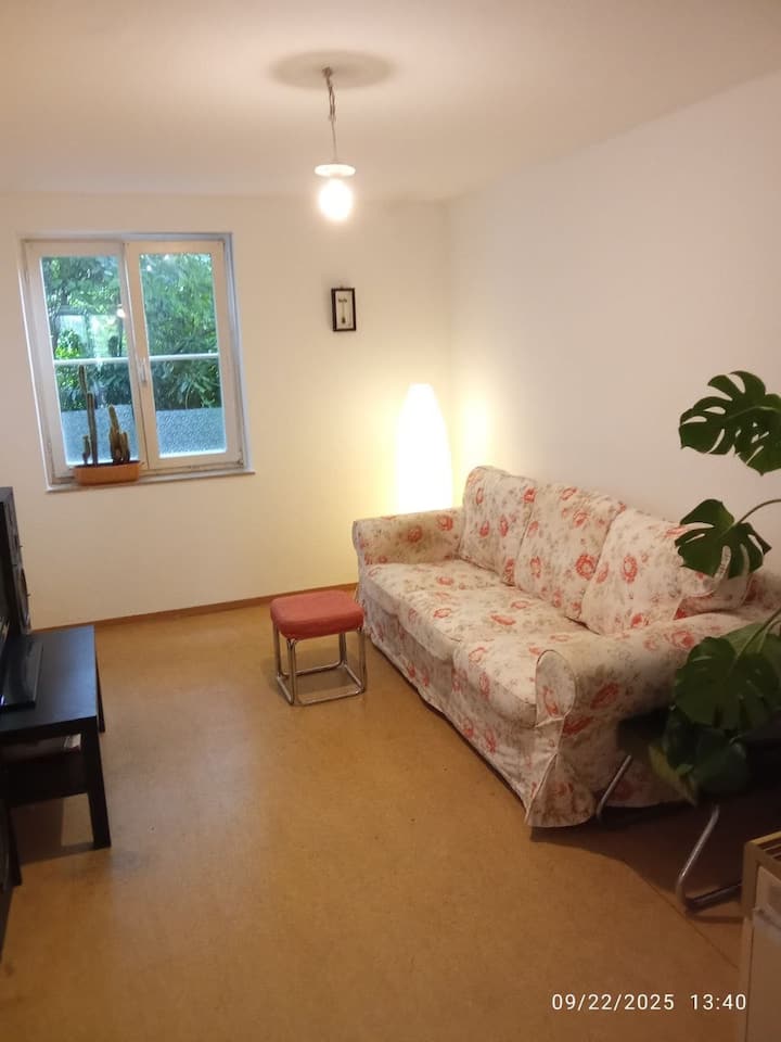 Entire  Apartment Near To Park And Main Station - Friburgo, Alemania