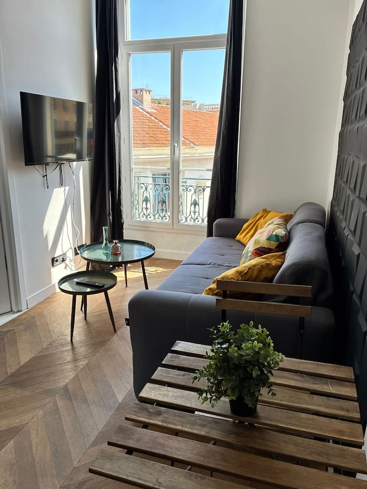 Appart Lumineux Et Confort, Centre Ac Wifi 304b - Castel Plage - Nice