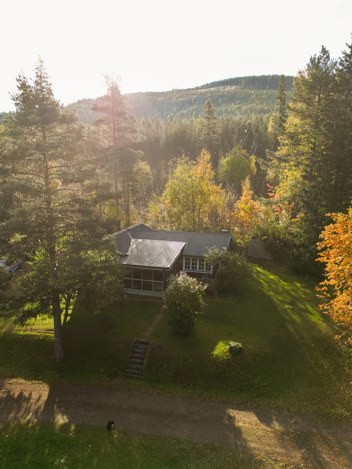 Bos, Meer & Een Hottub Onder De Sterrenhemel - Sweden