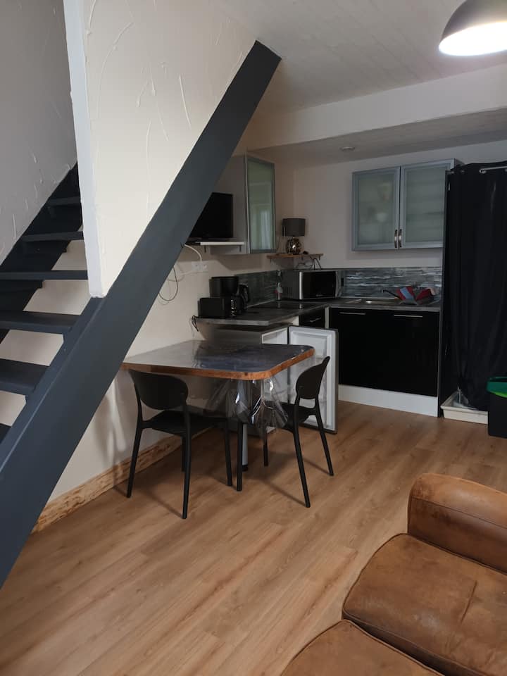 Le Nid Des Choups Le Petit Duplex 1 - Mont-Dore