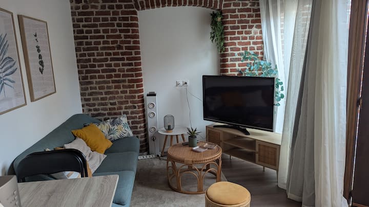 Bienvenu Chez Les Ch'ti,  Logement Entier, Ronchin - Lille