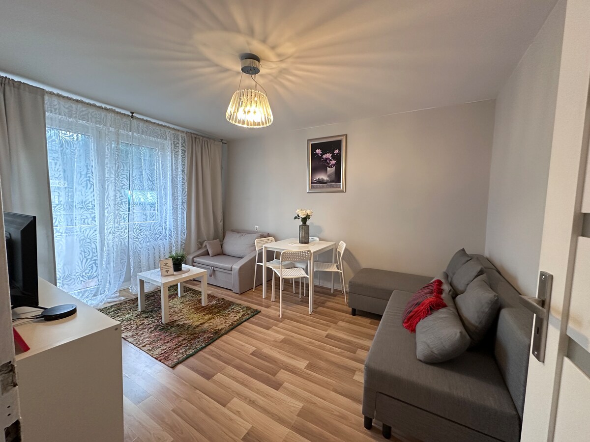 Centre - Séparé Panska7NETFLIX. Parking - Appartements à louer à ...