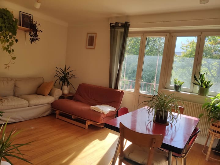 Appartement à 15 Min En Tram Du Marché De Noël - La Wantzenau