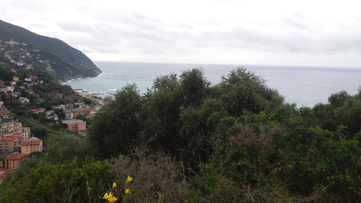 La Passana - Moneglia