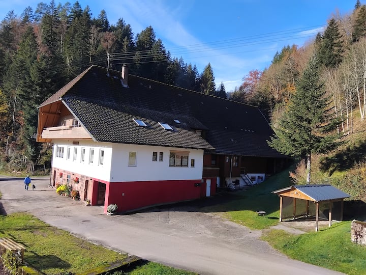 Hubertusstüble - Hausach