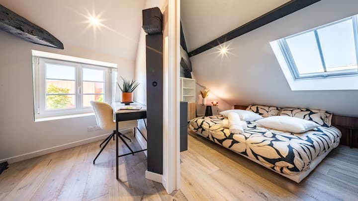 Faubourg:atypique-pied Cité Gastro+clim+pk Public - Dijon