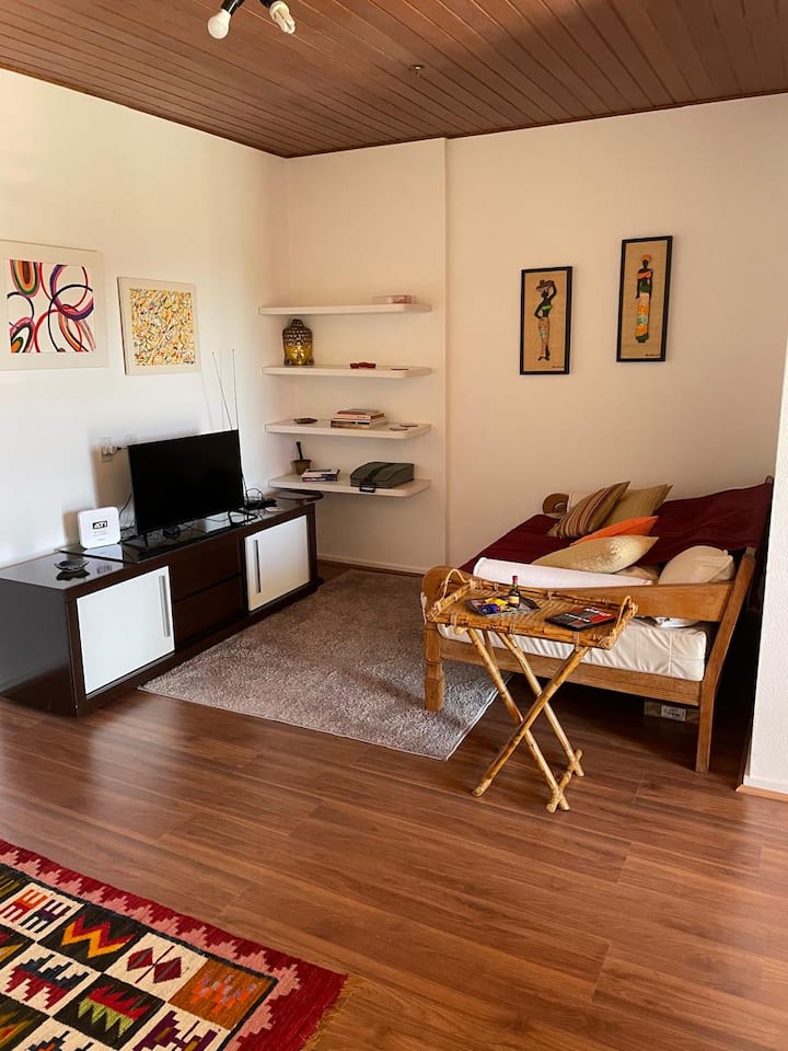 Jóia Na Serra Em Teresópolis - Aparthotel Completo - Teresópolis