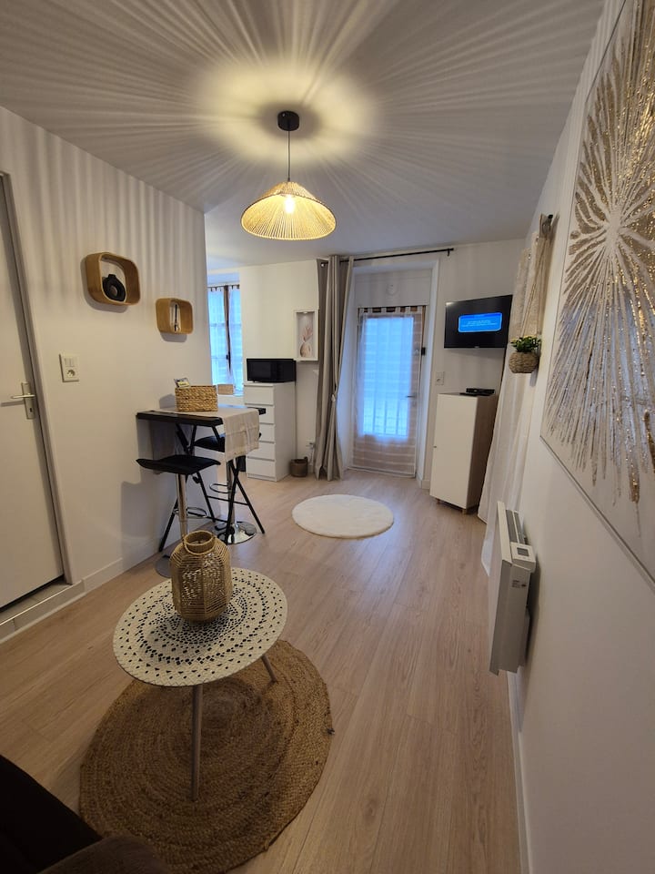 Studio De 20 M2 Entièrement Refait à Neuf. - Rumilly