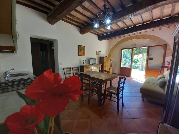 La Boccia's Home
Appartamento Immerso Nel Verde - Città di Castello
