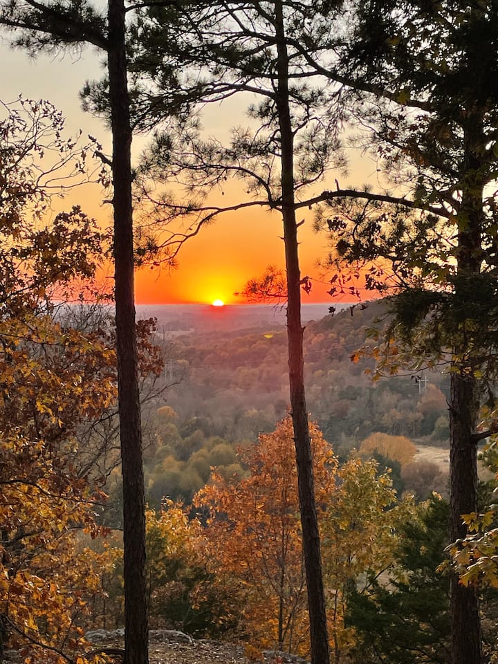 Wolf's Glenn Hideaway. Great Cabin Retreat. - Clarksville, AR