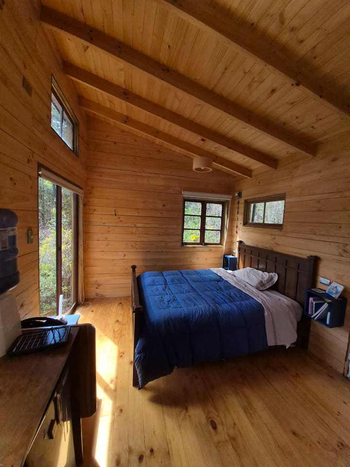 Mountain Cabin On The Coastal Mountains - Pelluhue