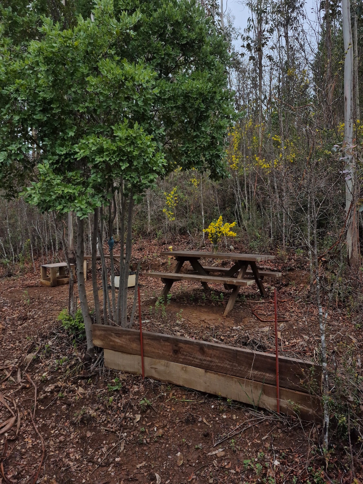Chalet de montagne sur les montagnes côtières - Cabanes à louer à ...
