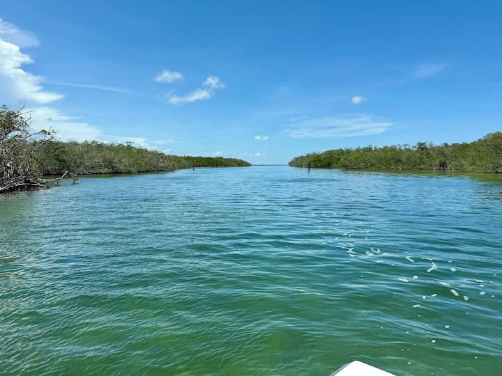 Tavernier Canal Front Retreat With Boat Lift . - Islamorada, FL