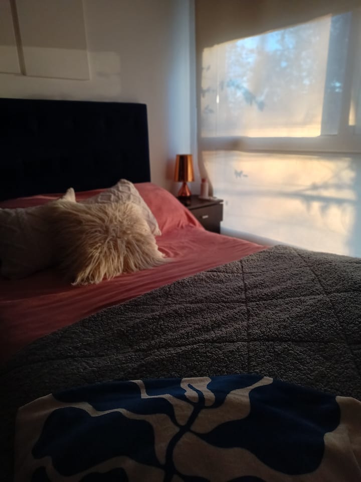 Cómodo Departamento De Dos Ambientes Muy Luminoso. - Mar del Plata