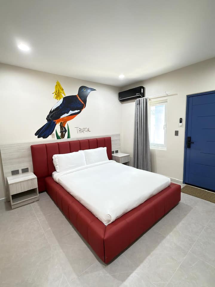 Newpalomatropical Hideaway Apt 8 |1bd|1ba- Sleep 2 - Aruba