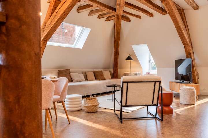 Tours Signature/ Grand Duplex Design Rue Nationale - Tours