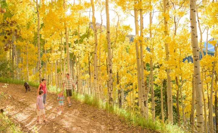 Your Vail, Co Retreat With Shuttle To Vail Village - Vail, CO