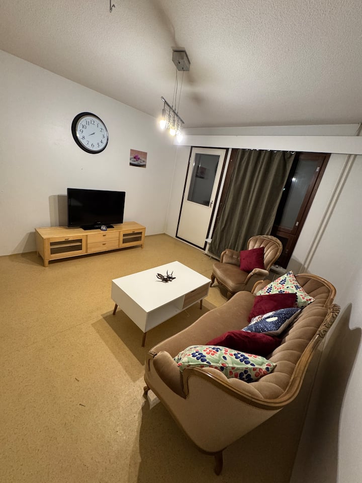 Cozy Flat With Garden View And Sauna - Rovaniemi